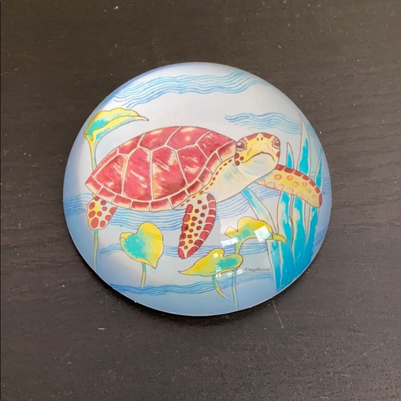 Accents | Nwt Sea Turtle Paperweight Souvenir | Poshmark